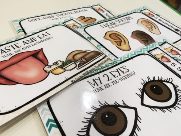 5 Senses Activities for Preschoolers – Xiao Panda Preschool