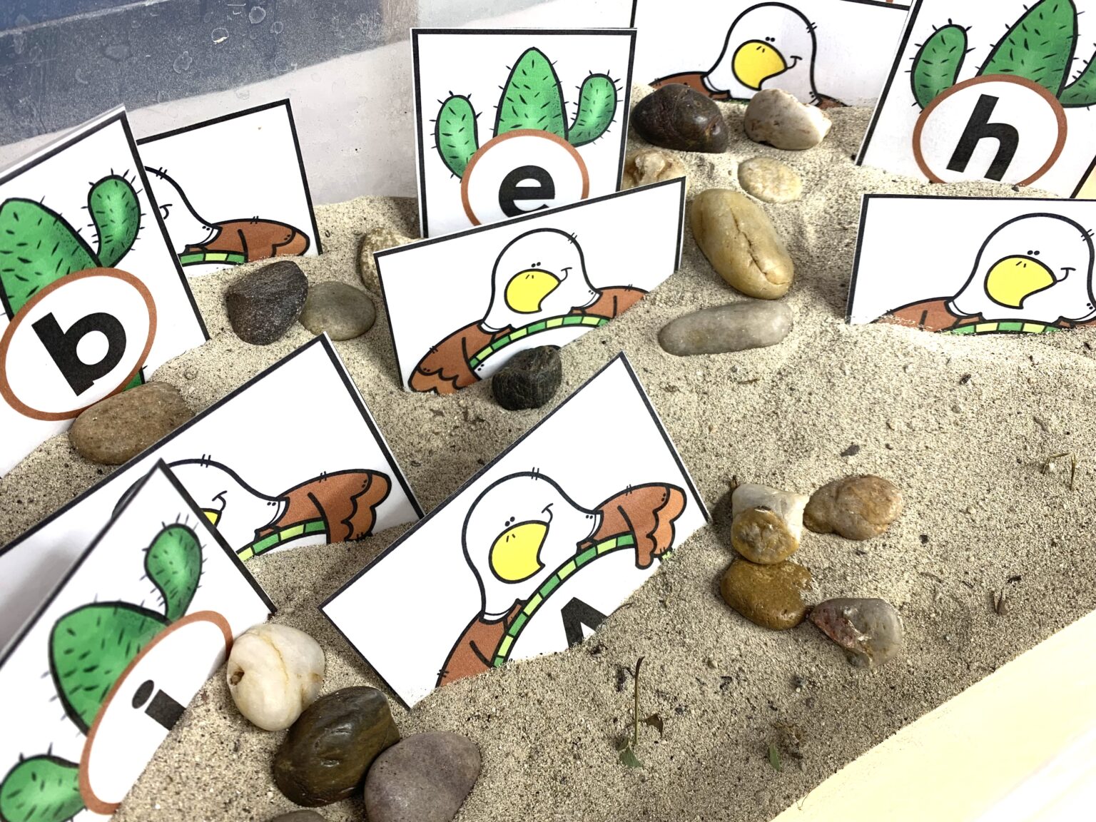 Exploring the Desert: Hands-On Preschool Desert Activities for Learning ...