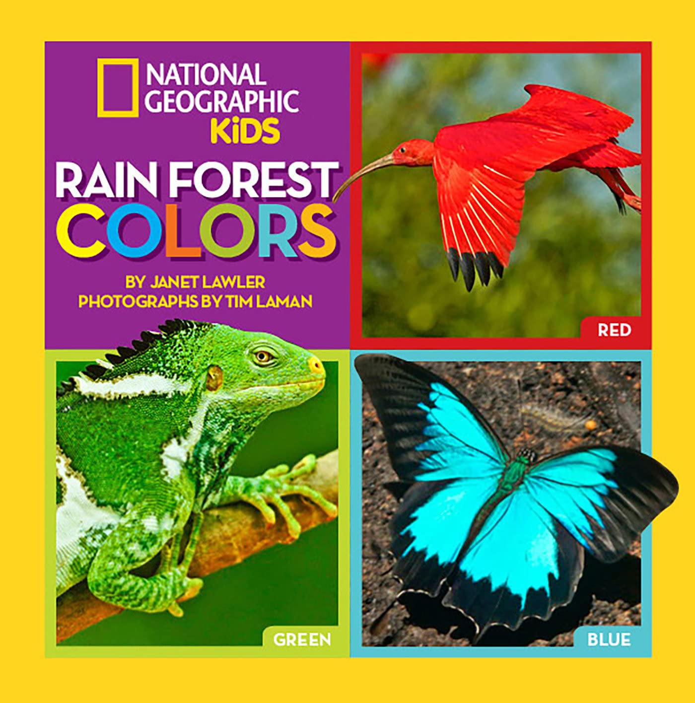 Take a Trip to the Rainforest with These Fascinating Picture Books for ...