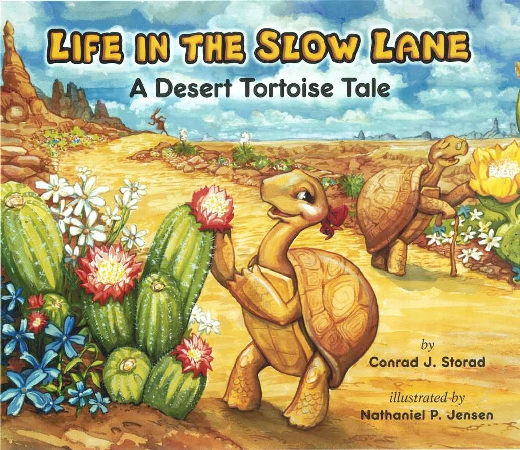 10 Wonderful Desert Picture Books Perfect for Preschoolers – Xiao Panda ...