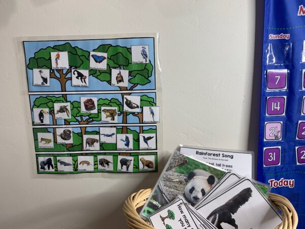 Learning About the Rainforest: A Guide for Preschool Teachers – Xiao ...