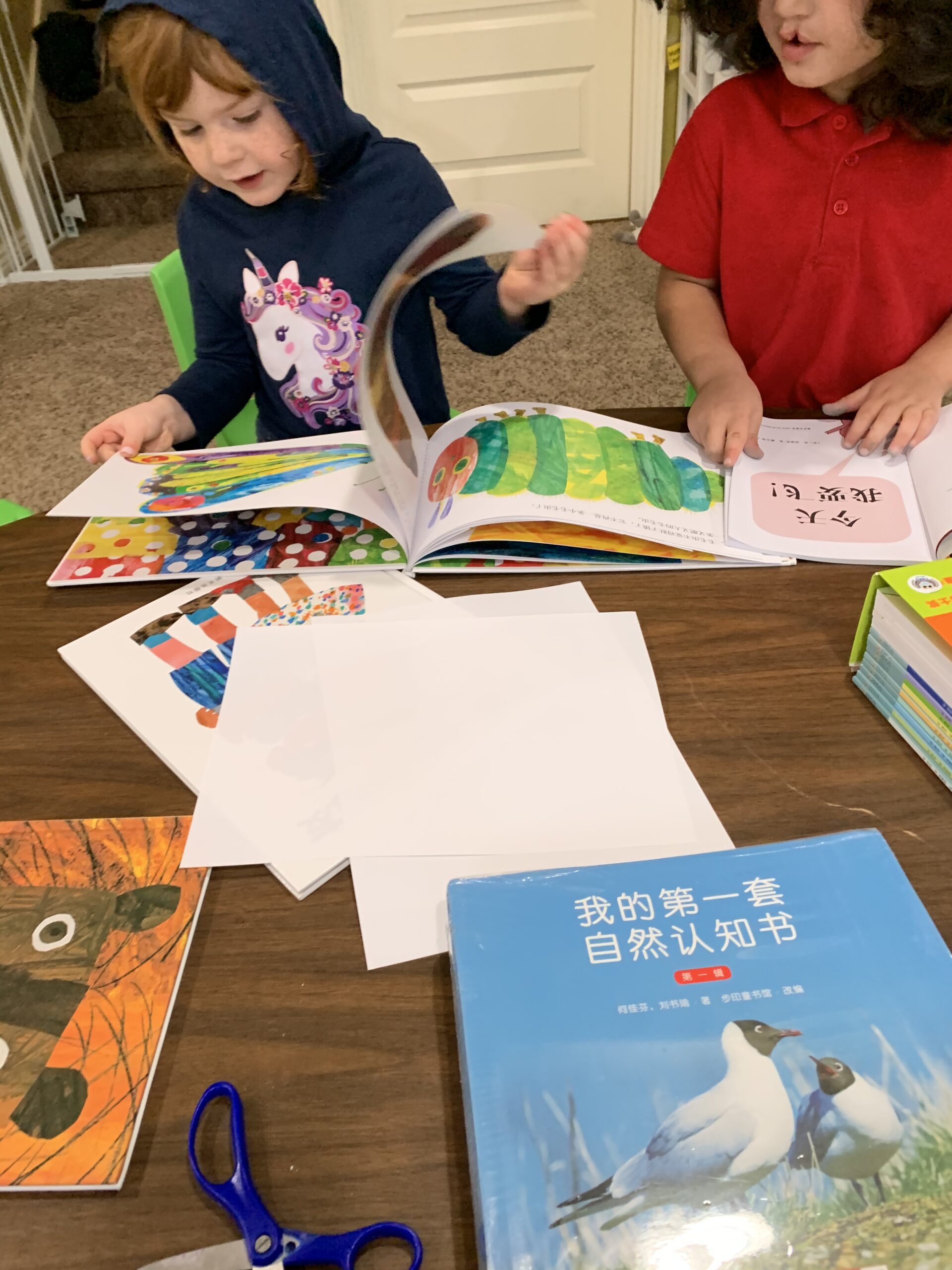 Get Them Hooked: Top Book Suggestions for Chinese Beginners – Xiao ...