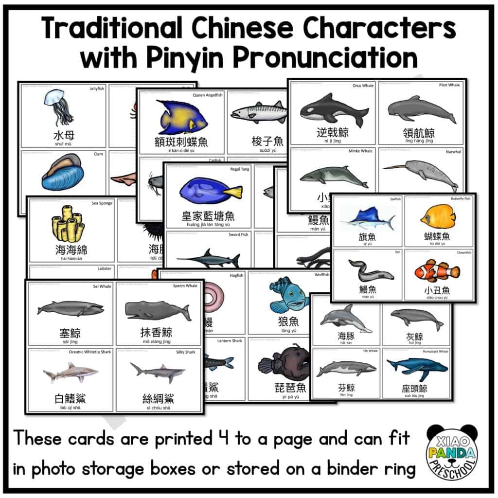 Ocean Animals Flash Cards – Traditional Chinese – Xiao Panda Preschool